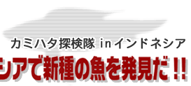 KAMIHATA探検隊「インドネシアで新種の魚を発見だ!!Vol.3」：神畑養魚グループ KAMIHATA FISH INDUSTRY GROUP